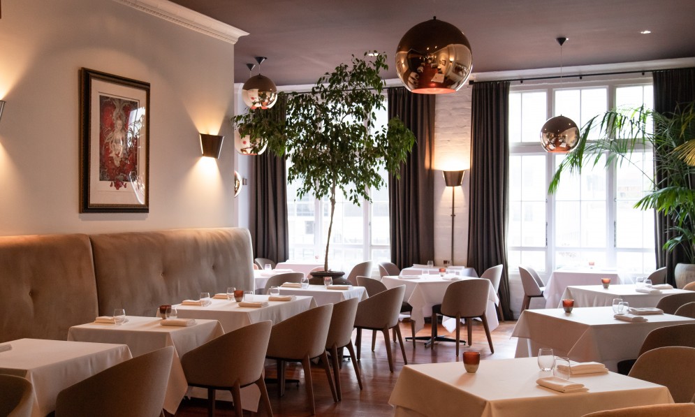 Top 5 Dining Experiences in Auckland